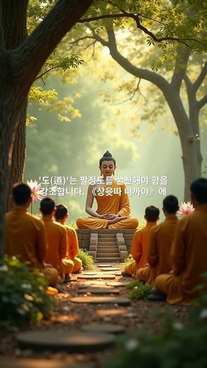 부처님의 가르침으로 찾는 고통 없는 삶의 3가지 지혜 Youtube