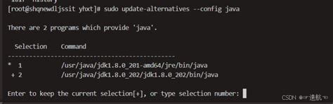 Linux 安装多个jdk，切换使用linux安装两个jdk Csdn博客