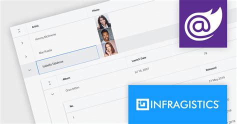 清晰、有组织方式呈现复杂数据 Infragistics Ui For Blazor Csdn博客
