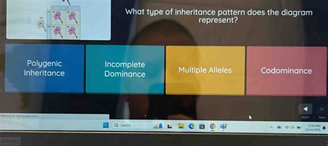 What Type Of Inheritance Pattern Does The Diagram Represent Polygenic