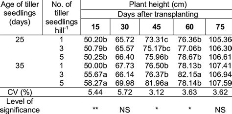 Interaction Effect Of Age Of Tiller Seedlings And Number Of Tiller Download Table