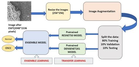 Proposed Methodology For The Classification Of Oral Cancer Download Scientific Diagram