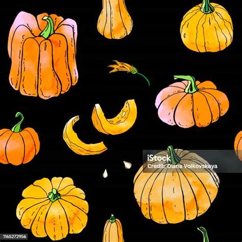 검은 배경에 밝은 오렌지 가을 호박 낙서에서 원활한 패턴 가을 수확 벡터 스톡 세트입니다 수채화 질감의 귀여운 아이콘 10월에 대한 스톡 벡터 아트 및 기타 이미지 Istock