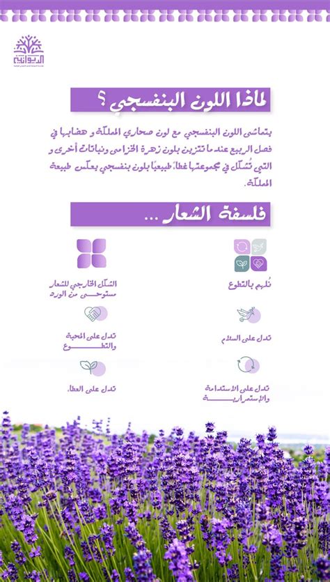 Faisal Alrefaei Posted On Linkedin
