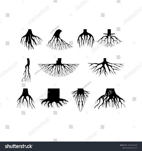 Set Black Tree Roots Vector Outline Stock Vector Royalty Free 2101221565 Shutterstock