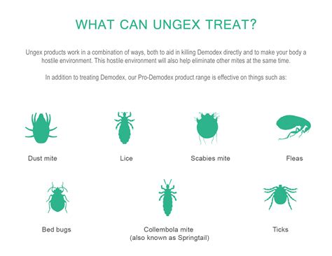 Human Shampoo For Mites At Keith Turner Blog