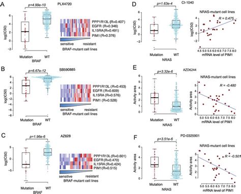 Cross Validation Of Cooperative Biomarker Pairs Cell Lines With A Download Scientific Diagram