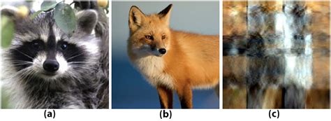 A Modified Watermarking Scheme Based On The Singular Value Decomposition Siam