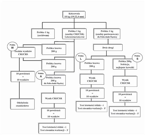 Schematic Procedure For Preparing A Test Sample To Analysis Of NSC Indices Download Scientific
