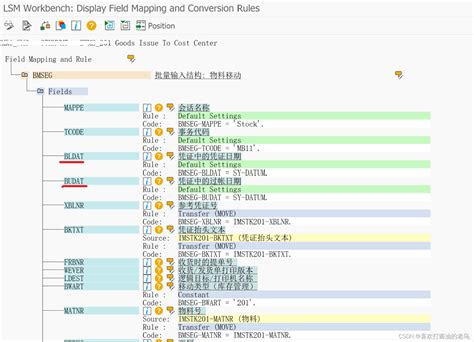 Sap Mm某个货物移动的lsmw工具里字段映射时bldat和budat不出现？lsmw 货物移动 Csdn博客