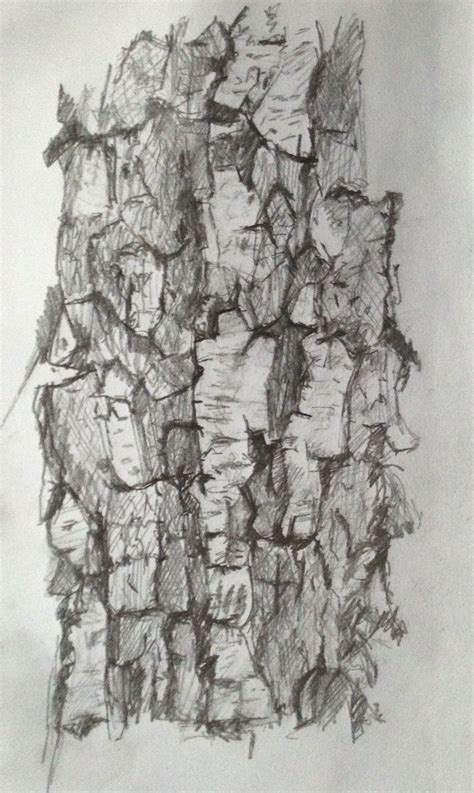 Tree Bark Drawing At Alexander Feakes Blog