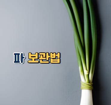 파 보관법 오래 신선함을 유지하는 간단한 비법