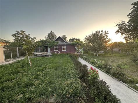 Продам дачу 250 000 000 сум Продажа Навои на Olx