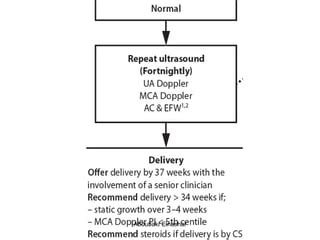 Doppler Interpretation In Pregnancy PDF