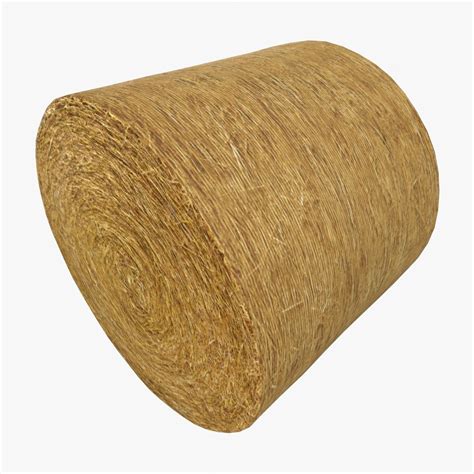 둥근 건초 베일 클립 아트