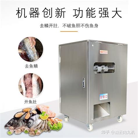杀鱼机全自动开背开肚去鱼鳞，快速杀小鱼大鱼的机器 知乎