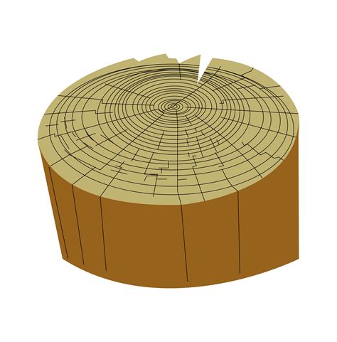 Tree Trunk Vector Illustration Vector Art At Vecteezy