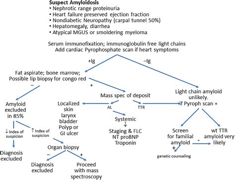 Kappa Light Chain Multiple Myeloma With Systemic Amyloidosis Shelly Lighting