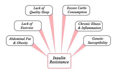 Causes Of Insulin Resistance Remind