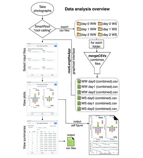 Diagram Of The Data Analysis Pipeline Download Scientific Diagram