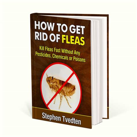 How To Get Rid Of Fleas Safe Solutions How To Get Rid Of Fleas Safe Solutions
