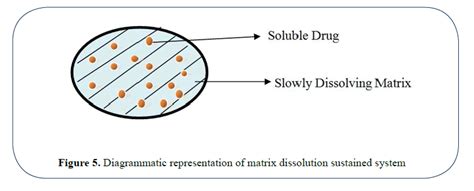 Schematic Representation Of Reservoir Matrix Systems
