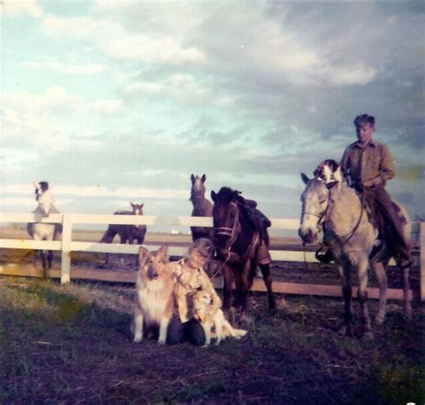 About Donna Janell Bowman Author For Young Readers