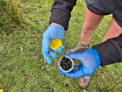 Poo Hunter In The Name Of Science Episode Of Country Life Rnz
