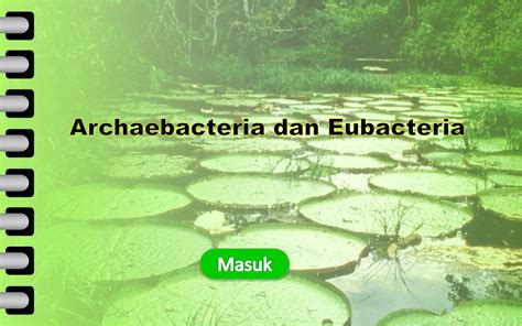 Solution Biologi Kelas 10 Archaebacteria Dan Eubacteria Sman 8 Jakarta Solution Biologi Kelas 10 Archaebacteria Dan Eubacteria Sman 8 Jakarta