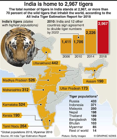 Siberian Tiger Population Chart Ponasa