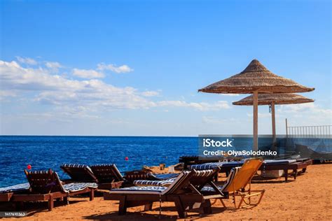 태양 우산과 열 대 해변의 긴의 자 휴식 휴가 휴양지의 개념 0명에 대한 스톡 사진 및 기타 이미지 0명 갑판 의자 관광 Istock