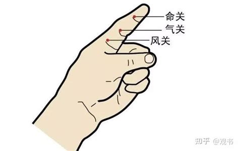 学习笔记中医诊断之望闻问切一望诊 知乎