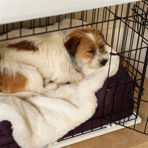 Is It Ok To Put Blanket Over Dog Crate