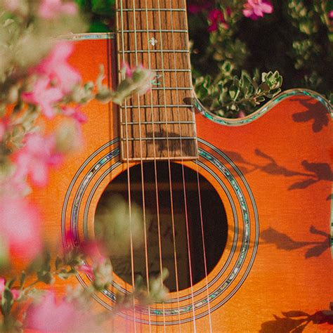 How To Learn Guitar Fretboard Notes Zager Guitar Blog