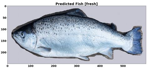 Fish Disease Detection Using Image Based Machine Learning Technique In Aquaculture DeepAI
