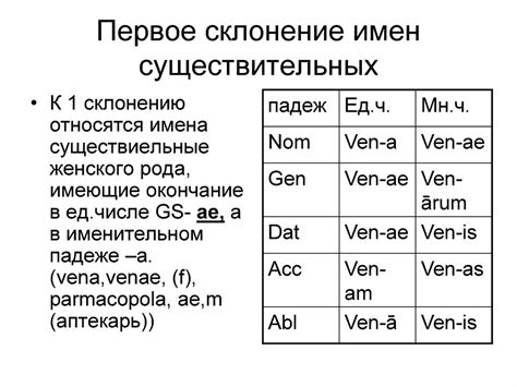 Имя существительное в латинском языке Роль имени существительного в медицинских терминах