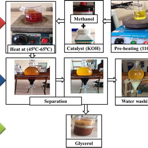 Transesterification Process For Microalgae Biodiesel Production