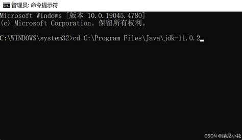 Windows、linux安装open Jdk11openjdk11下载 Csdn博客