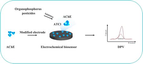 The Principle Of The Enzyme Sensor Download Scientific Diagram