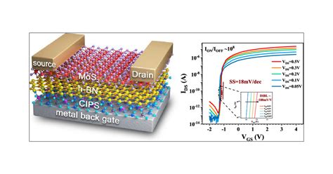 Eliminating Ferroelectric Hysteresis In All Two Dimensional Gate Stack Negative Capacitance