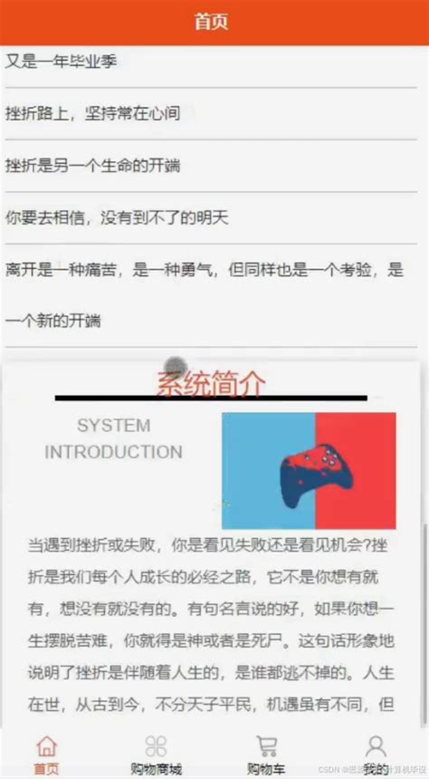 java vue计算机毕设电商小程序【开题 程序 论文 源码】 csdn博客