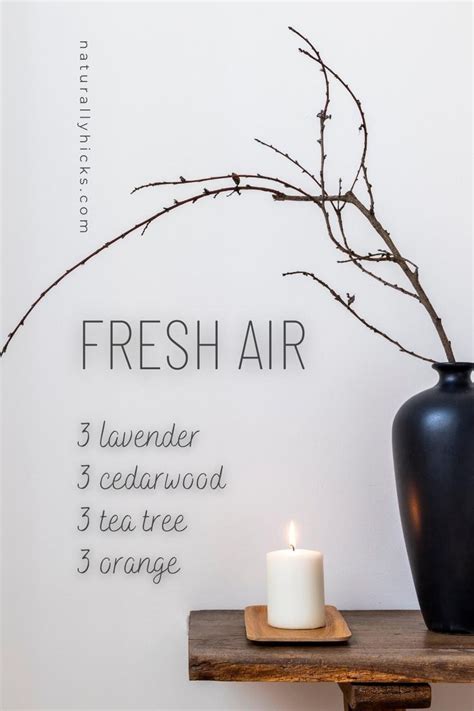 Spa Day Diffuser Blend Artofit Spa Day Diffuser Blend Artofit