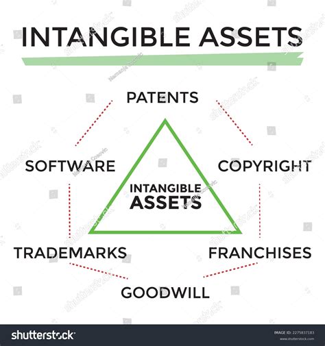 Intangible Assets Types Graph Diagram Vector Stock Vector Royalty Free
