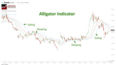 Alligator Indicator I Tested 1 000 Trades Epic Results