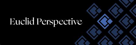 Euclid Perspective Euclid Transactional