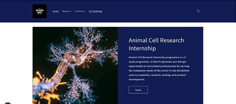 Intern Niti E Learning Platform On Linkedin Internship Intern