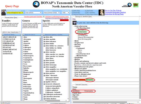 Step 1 To Run A Biological Attribute Query Scroll Down To The