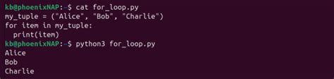 Python For Loop Syntax Usage Examples Python For Loop Syntax Usage Examples