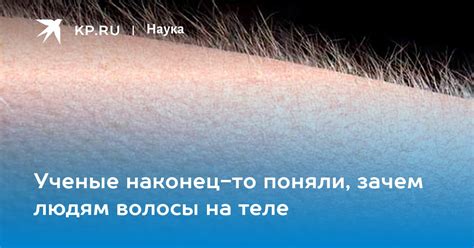 Ученые наконец то поняли зачем людям волосы на теле Kp Ru