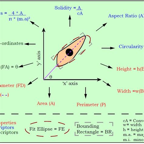Cell Geometry Features Schematic Depiction Of Cell Geometry Features Download Scientific